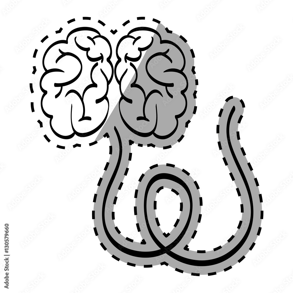 Human brain scribble icon vector illustration graphic design Stock ...