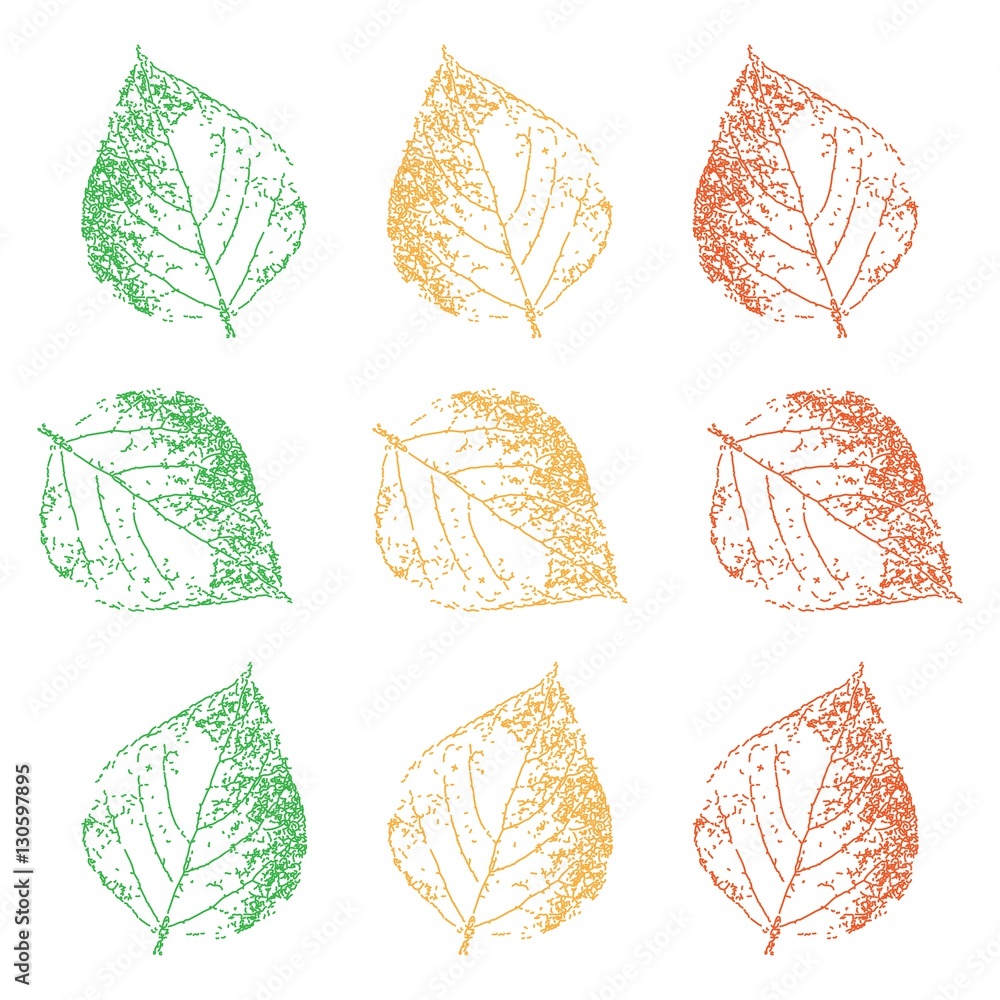Leaves and foliage. Leaf set. Hand drawn. Graphic drawing. Illustration ...
