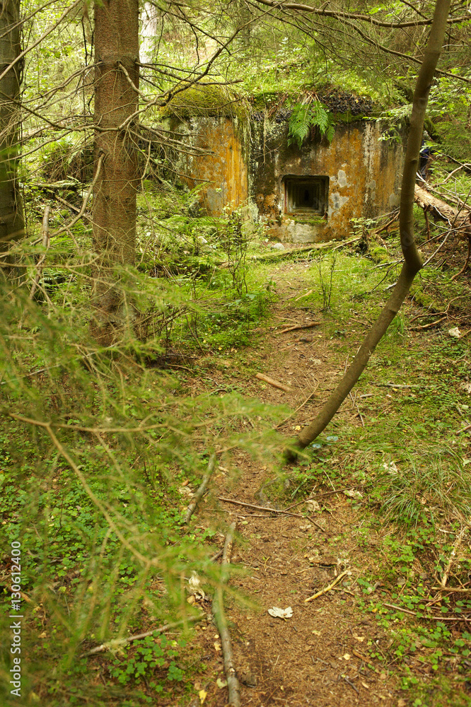 Abandoned bunker hidden deep in the forest. Sumava National park ...