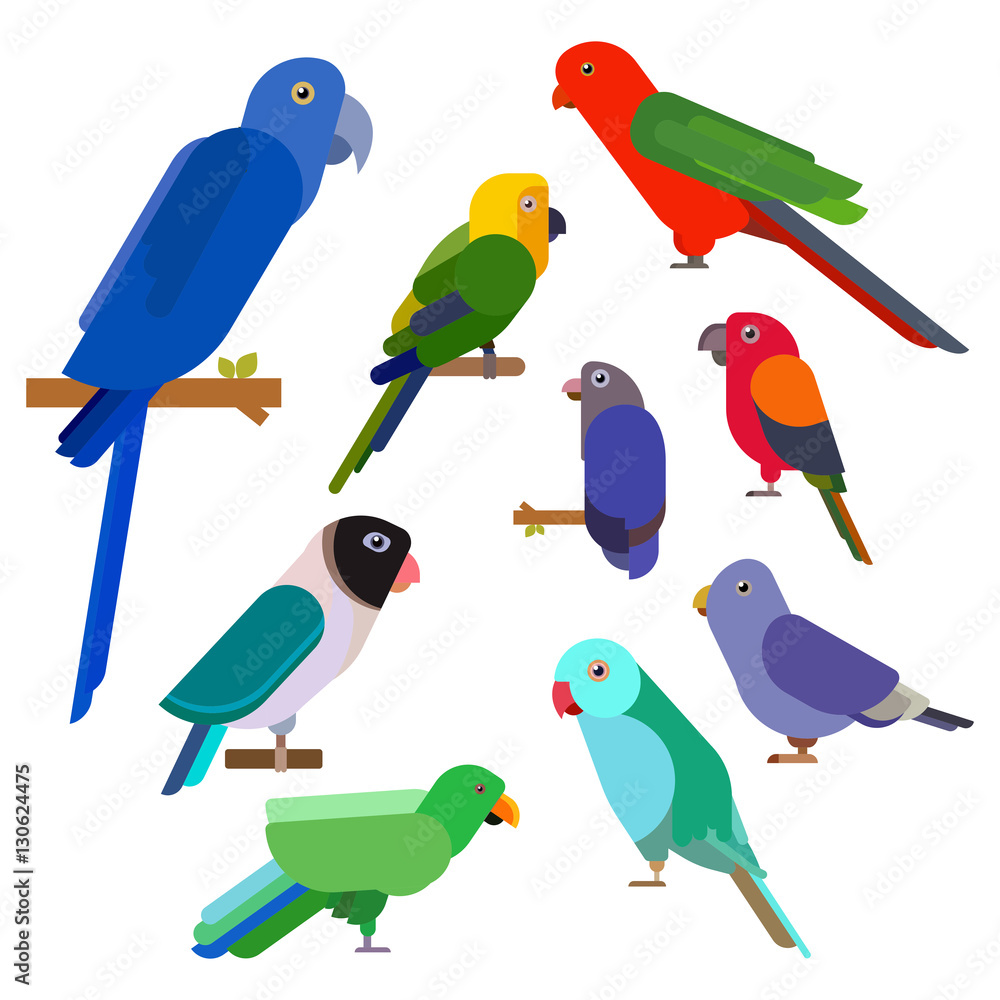 Cartoon parrots collection. Parrot wild animal birds set. Tropical ...