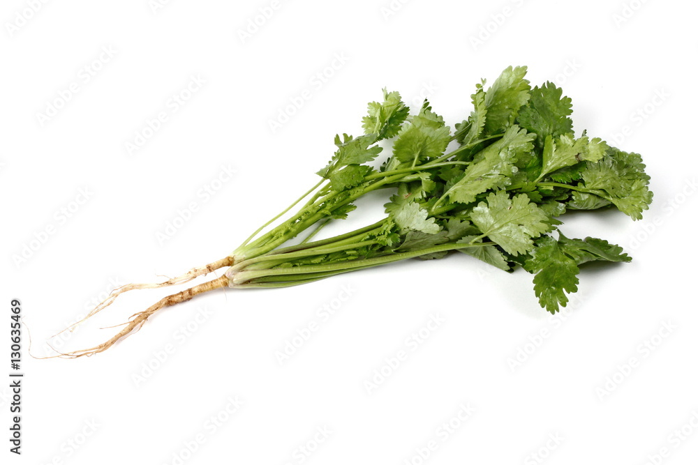 Coriander leaves with root isolated on white background. Stock Photo ...