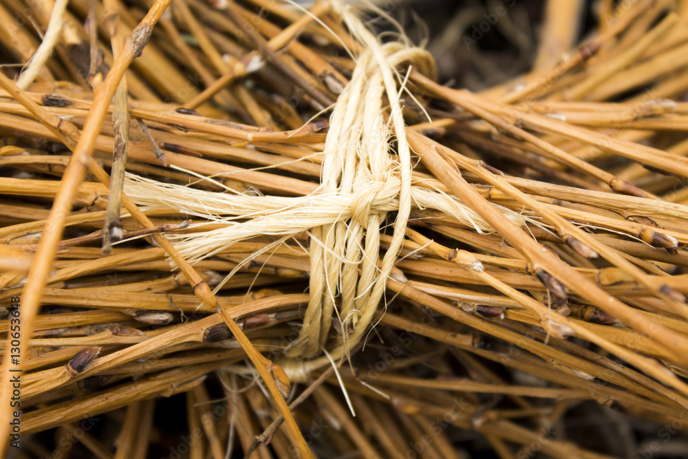 Bunch of dry sticks Stock-Foto | Adobe Stock