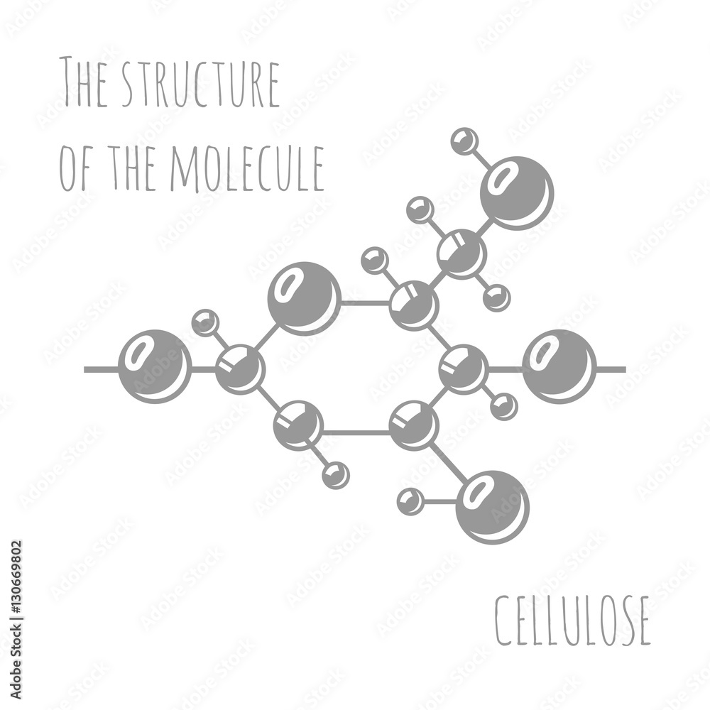 The structure of polymeric molecules. Polymers. Chemical production ...