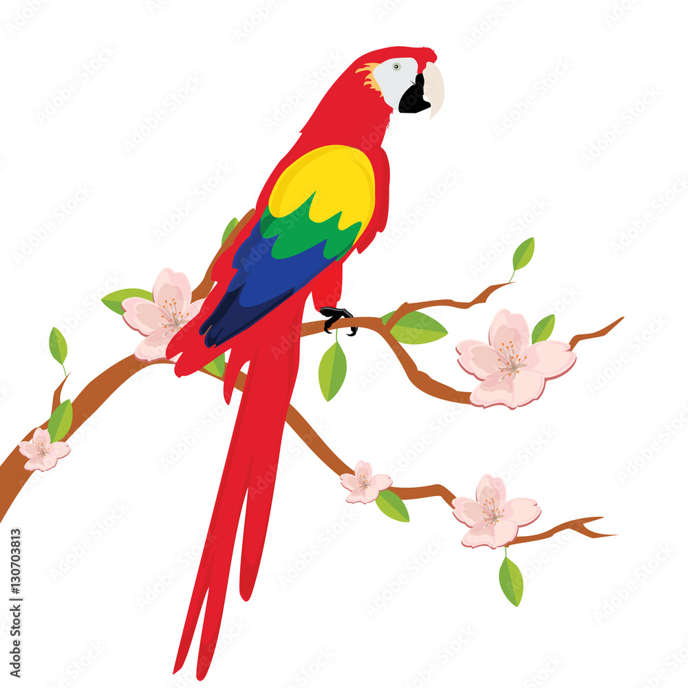 Parrot on tree branch Stock Vector | Adobe Stock