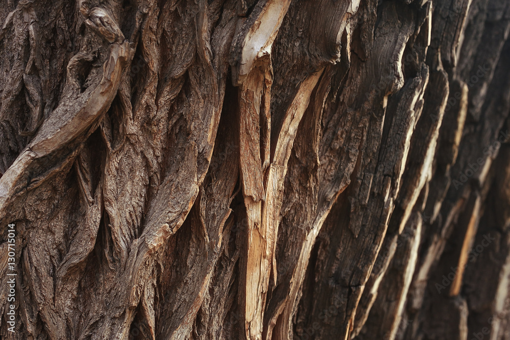 background texture of wooden planks logs bark Stock Photo | Adobe Stock