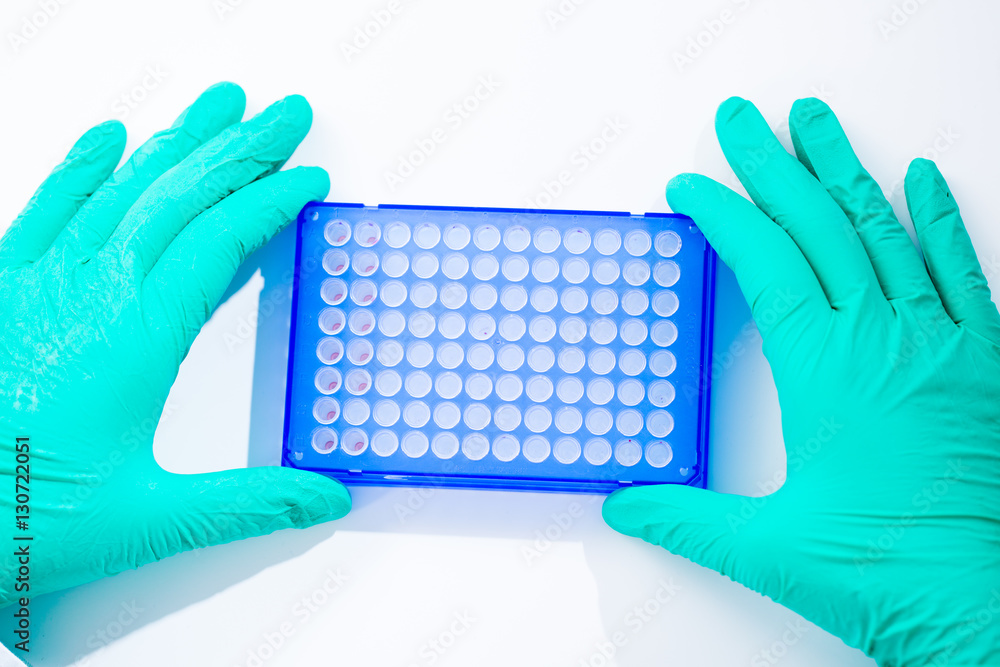 Scientist woman holding an open 96 well plate with samples, laboratory ...