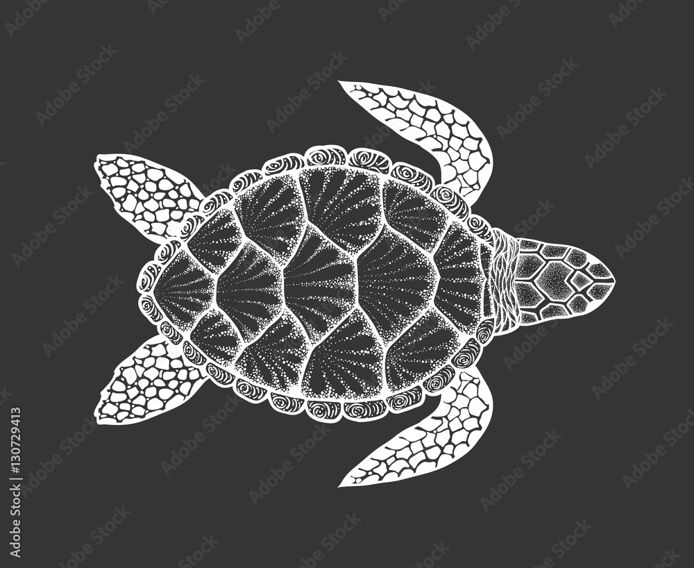 Sea turtle in line art style. Hand drawn vector illustration. To Stock ...