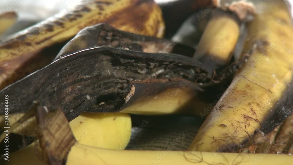 Maggots and Flies on Banana Peel. Maggots, knats, flies, bacteria and ...