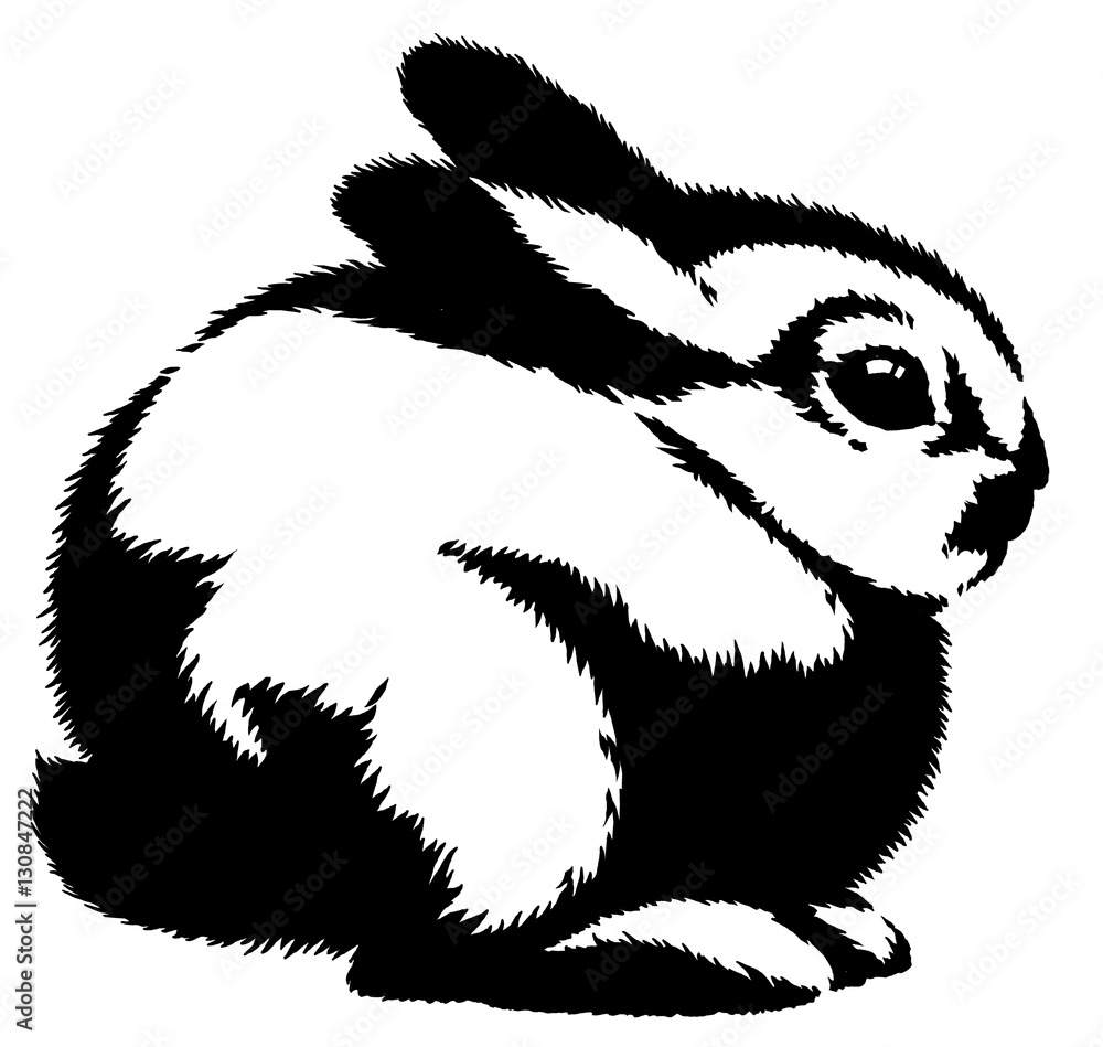 black and white linear paint draw rabbit illustration Stock ...