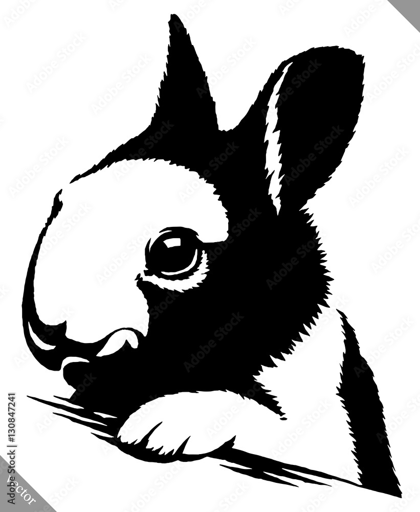 black and white linear paint draw rabbit vector illustration Stock ...