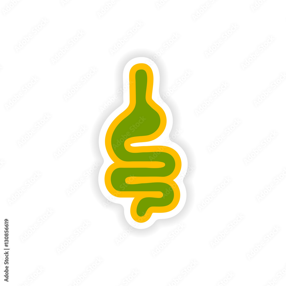paper sticker on white background human intestine Stock Vector | Adobe ...
