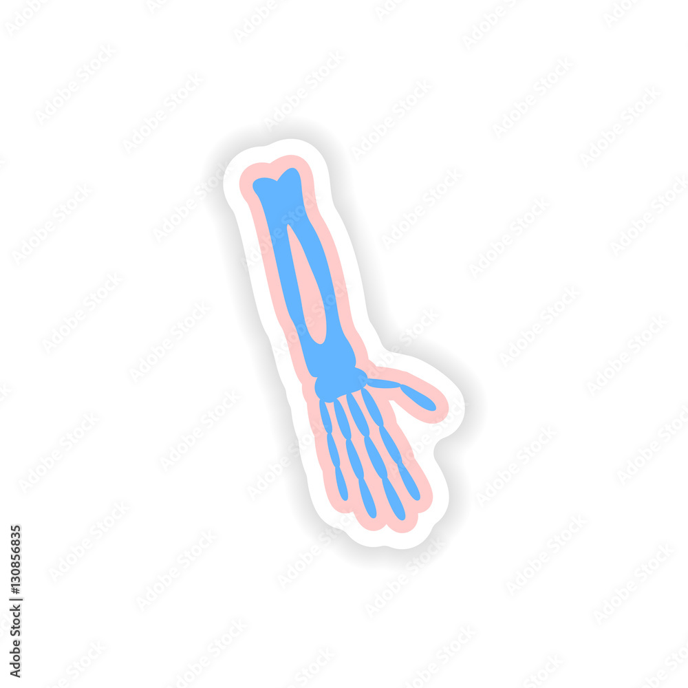 paper sticker on white background arm bone Stock Vector | Adobe Stock