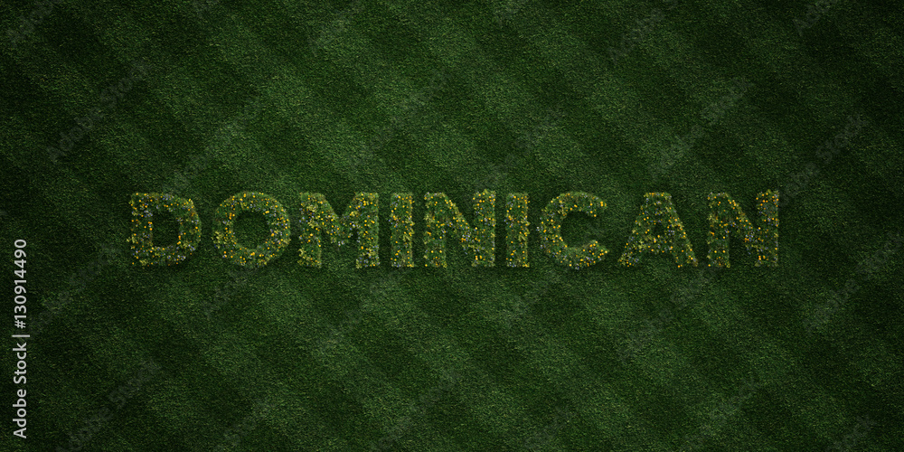 DOMINICAN - fresh Grass letters with flowers and dandelions - 3D ...