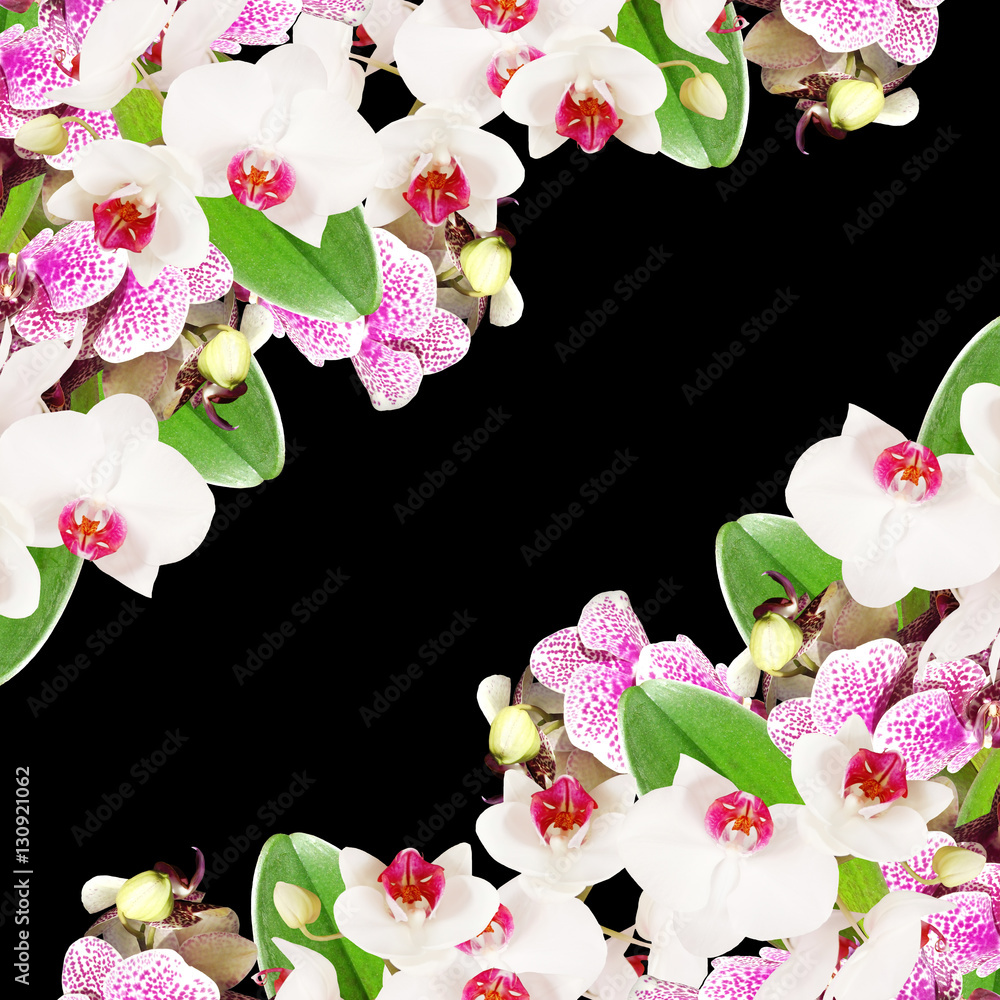Beautiful floral frame of white and purple orchids Stock Photo | Adobe ...