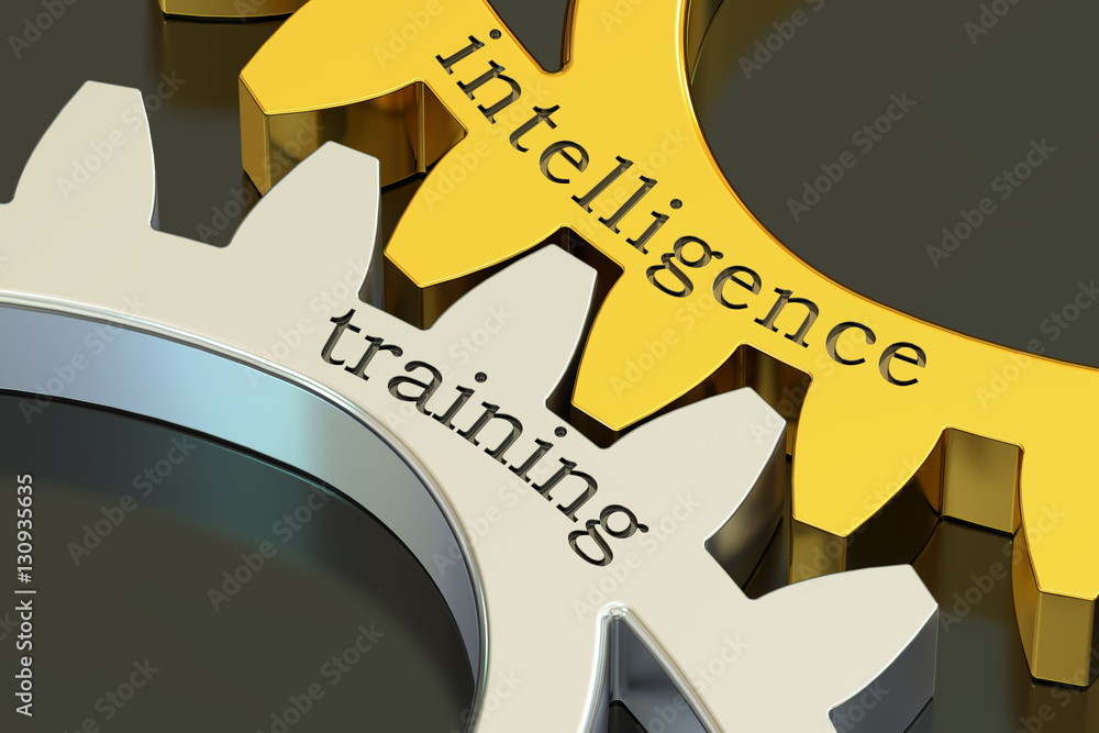 intelligence training concept on the gearwheels, 3D rendering Stock ...