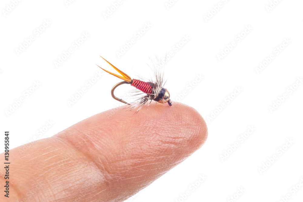 Tiny Fishing Fly on Finger Tip Isolated on White Stock Photo | Adobe Stock