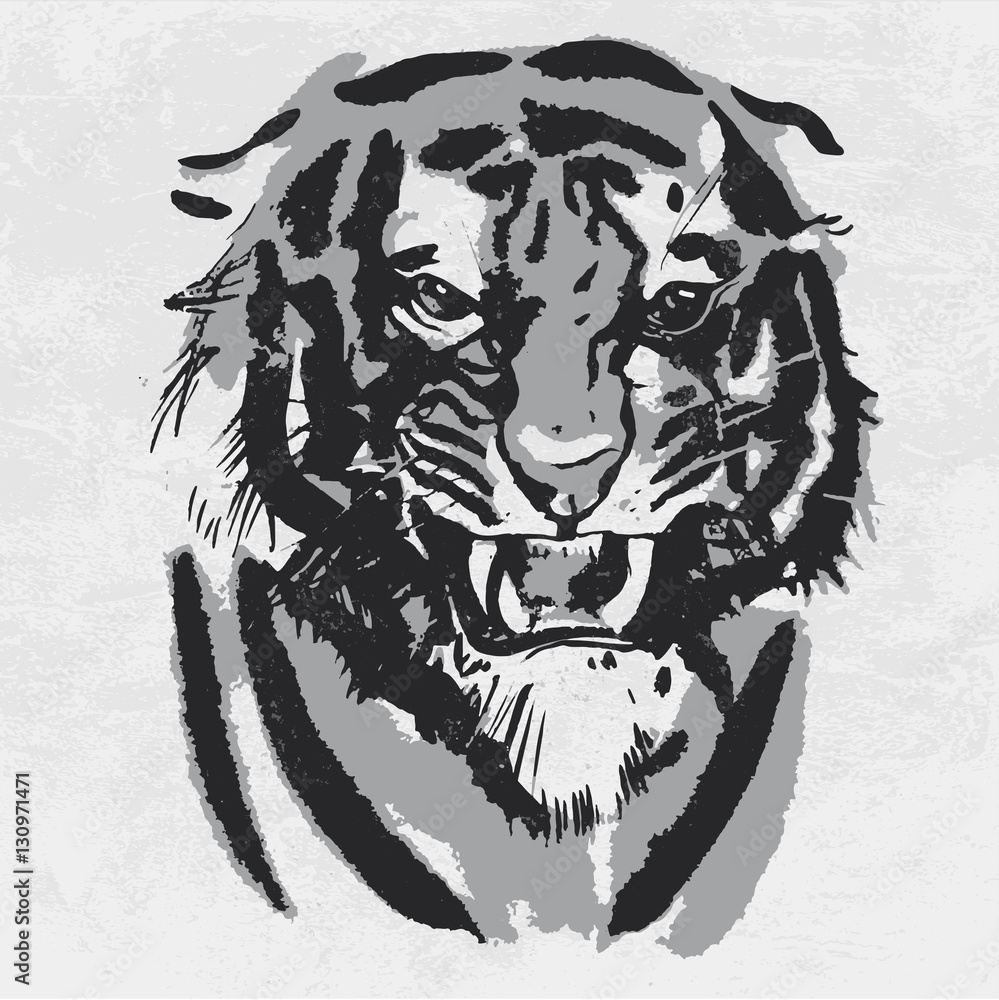 Watercolor drawing of angry looking tiger. Animal portrait on white ...