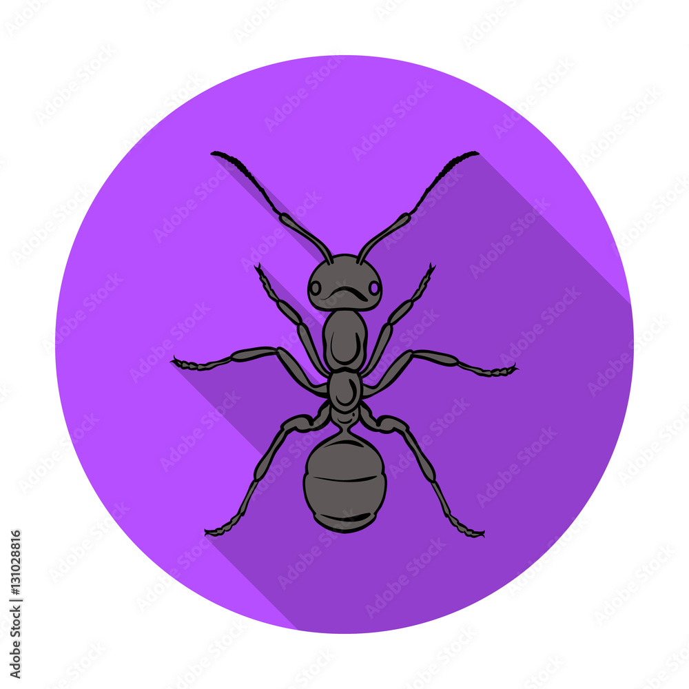 Ant icon in flat style isolated on white background. Insects symbol ...