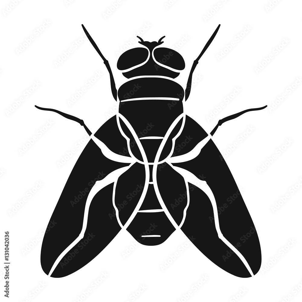 Fly icon in black style isolated on white background. Insects symbol ...