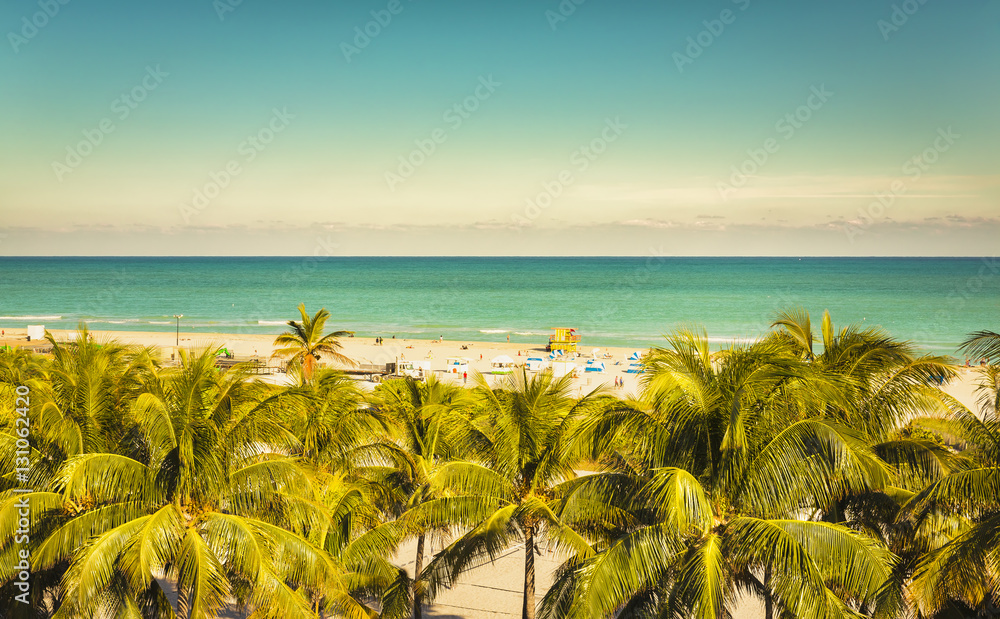 Public beach behind the palm trees in Miami Beach Stock Photo | Adobe Stock