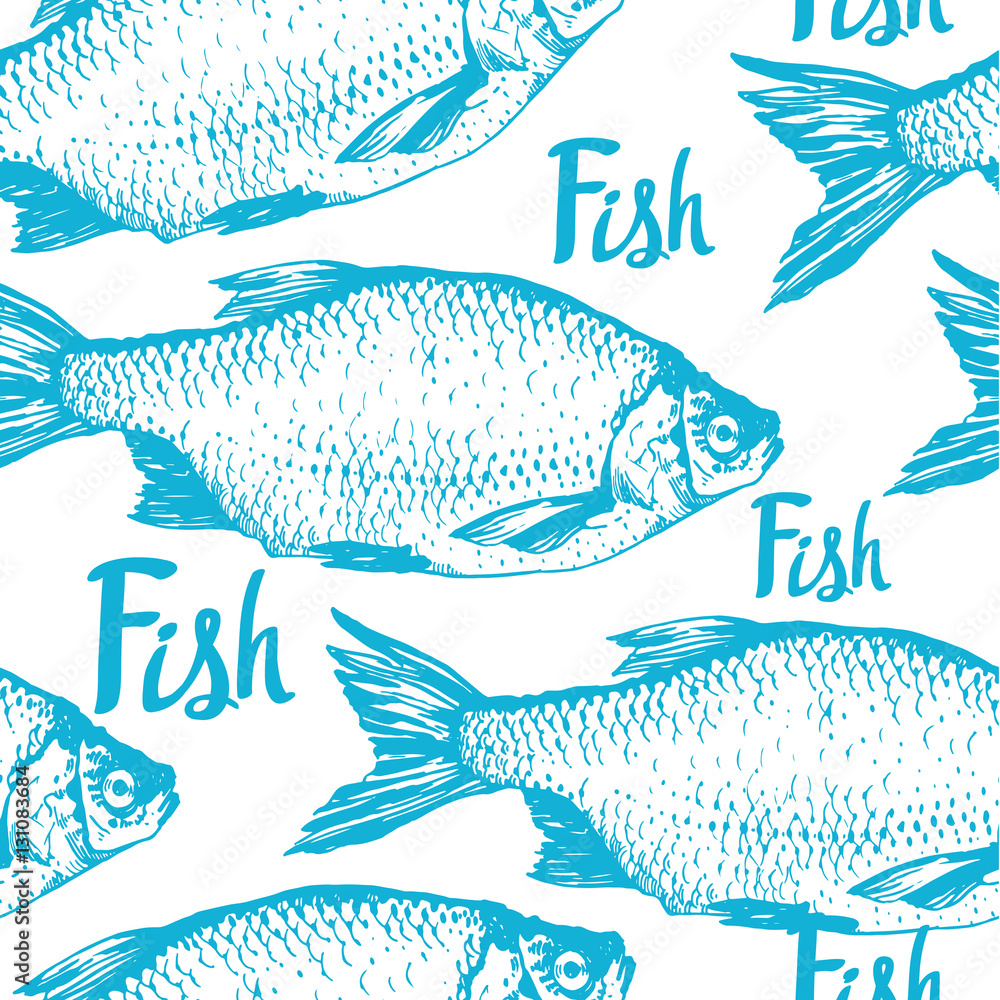 Vector illustration with sketches of rudd fish. Hand-drawn seamless ...