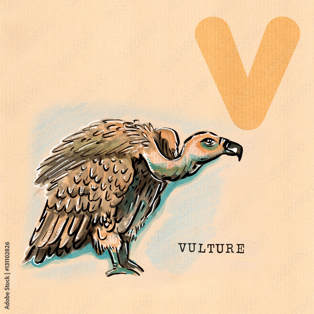 English alphabet , Vulture Stock Illustration | Adobe Stock