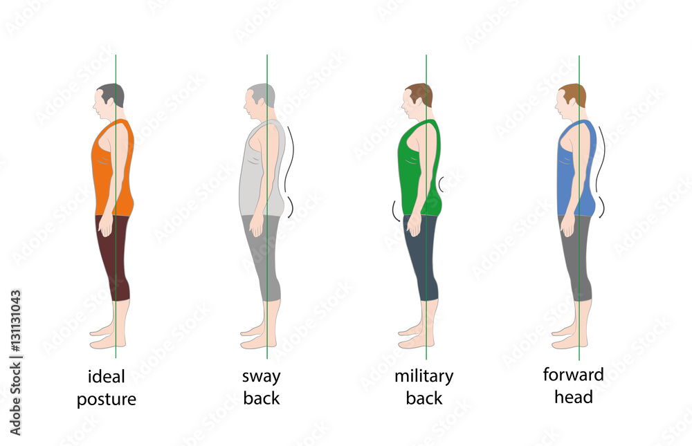 types of posture in men. vector illustration. Stock Vector | Adobe Stock
