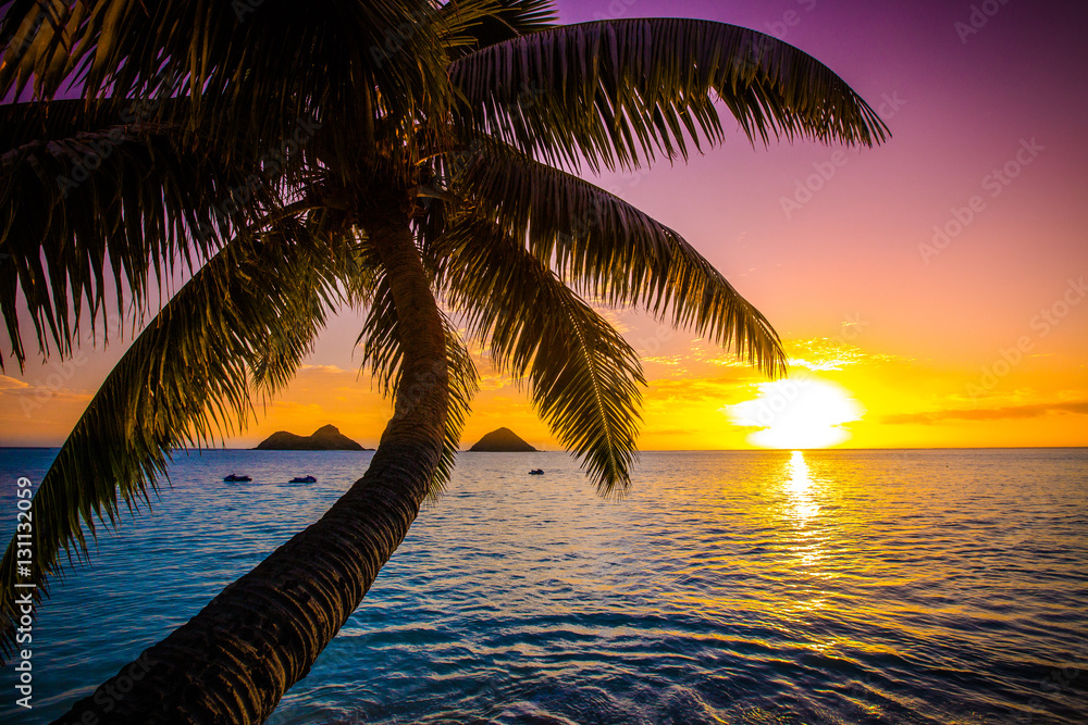 Hawaiian Sunrise Pictures