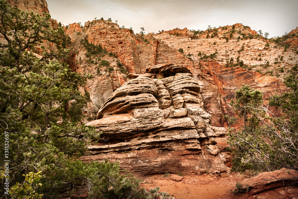 Orange colored rocks at Zion National Park, Utah, USA Stock-Foto ...