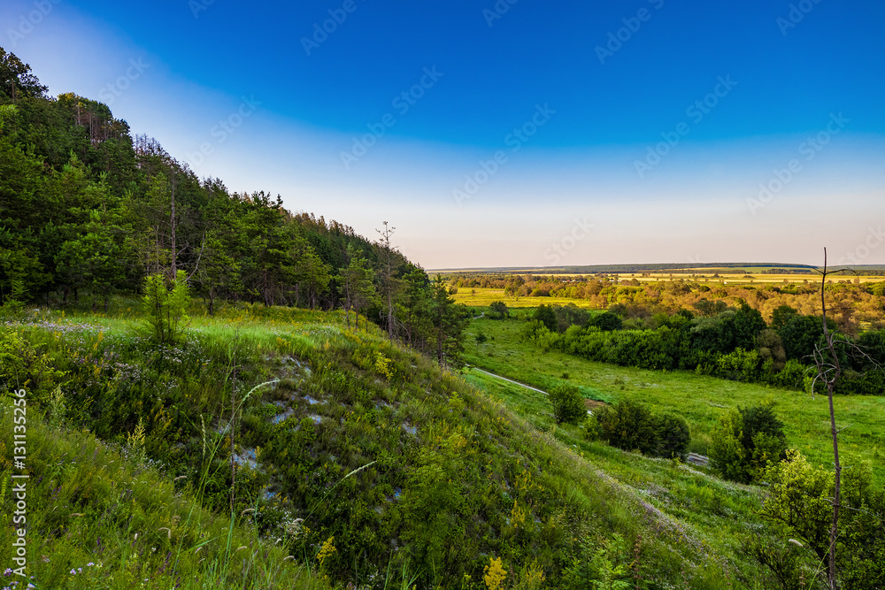 Relic pine cretaceous chalk outcrops on the hill. Cretaceous forest ...