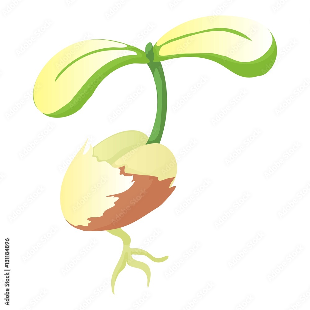 Sprout icon. Cartoon illustration of sprout vector icon for web design ...