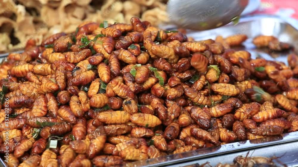 Edible roasted and spiced meal worms, Bugs fried on street food in ...