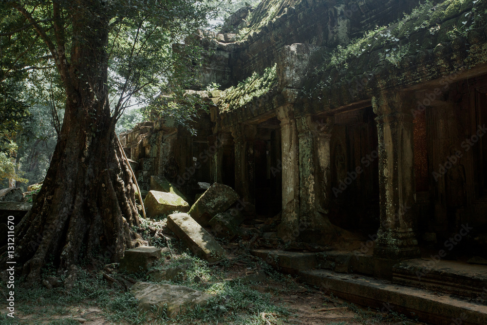 Amazing Angkor is popular tourist attraction and mysterious tree Stock ...