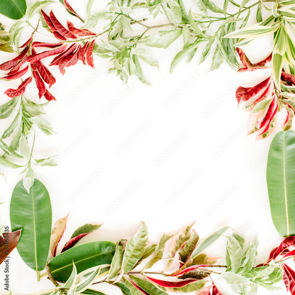 red and green petals and leaf frame on white background. flat lay ...