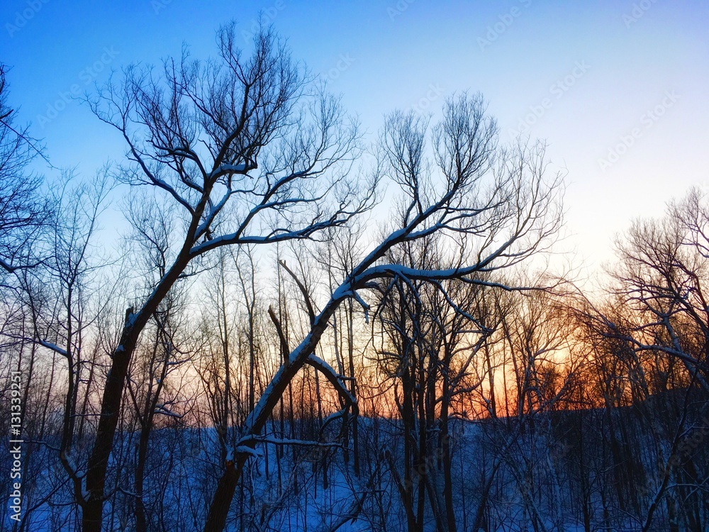 hiver Stock Photo | Adobe Stock