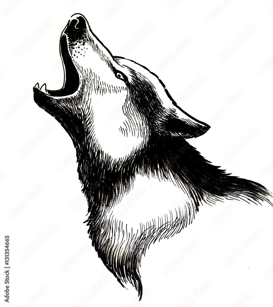 Howling wolf Stock Illustration | Adobe Stock