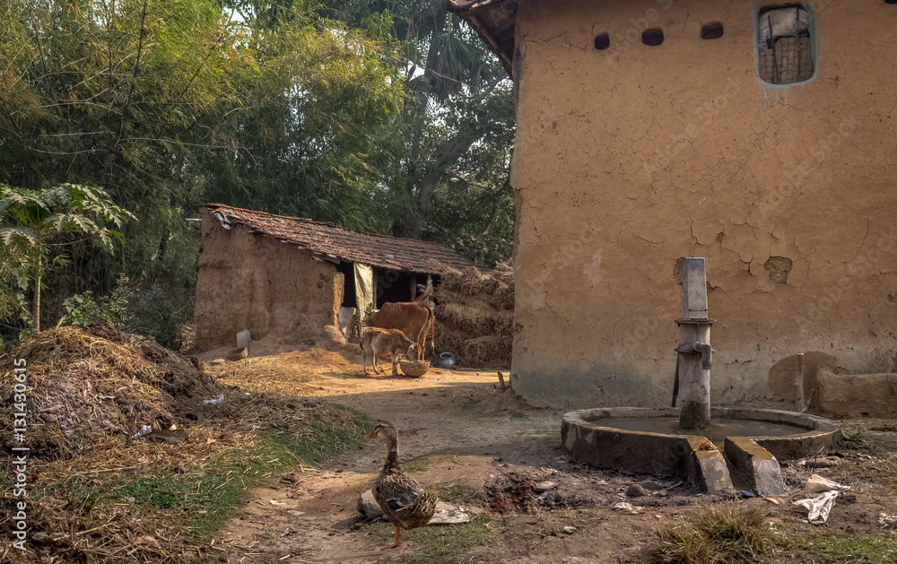 Indian Rural Settlement