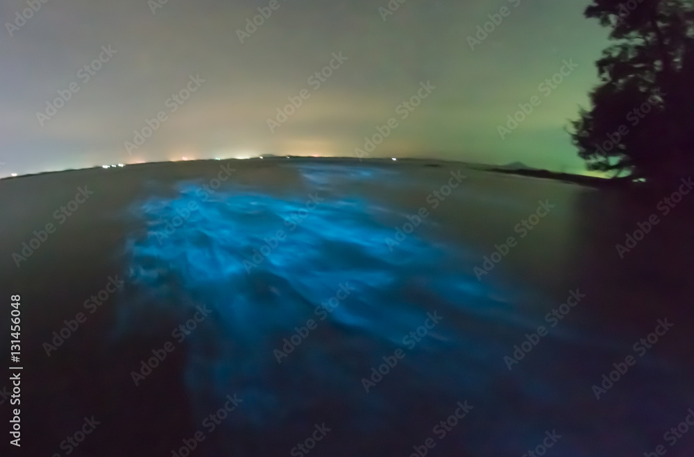 Bioluminescent plankton. Glowing wave with long exposure. Stock Photo ...
