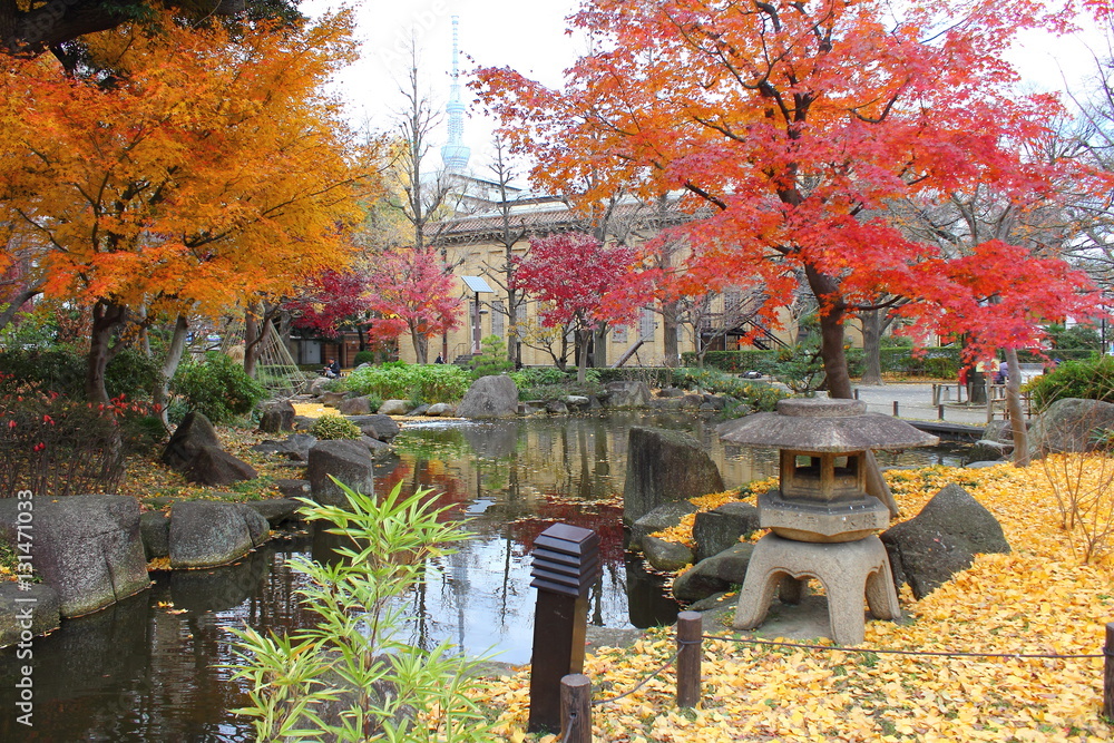 Yokoamicho Park in autumn. Yokoamicho park is Sumida word in Tokyo ...