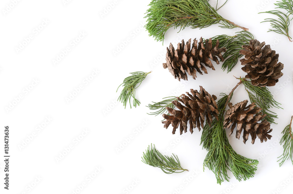 spruce branches with pine cone border isolated on white Stock Photo ...