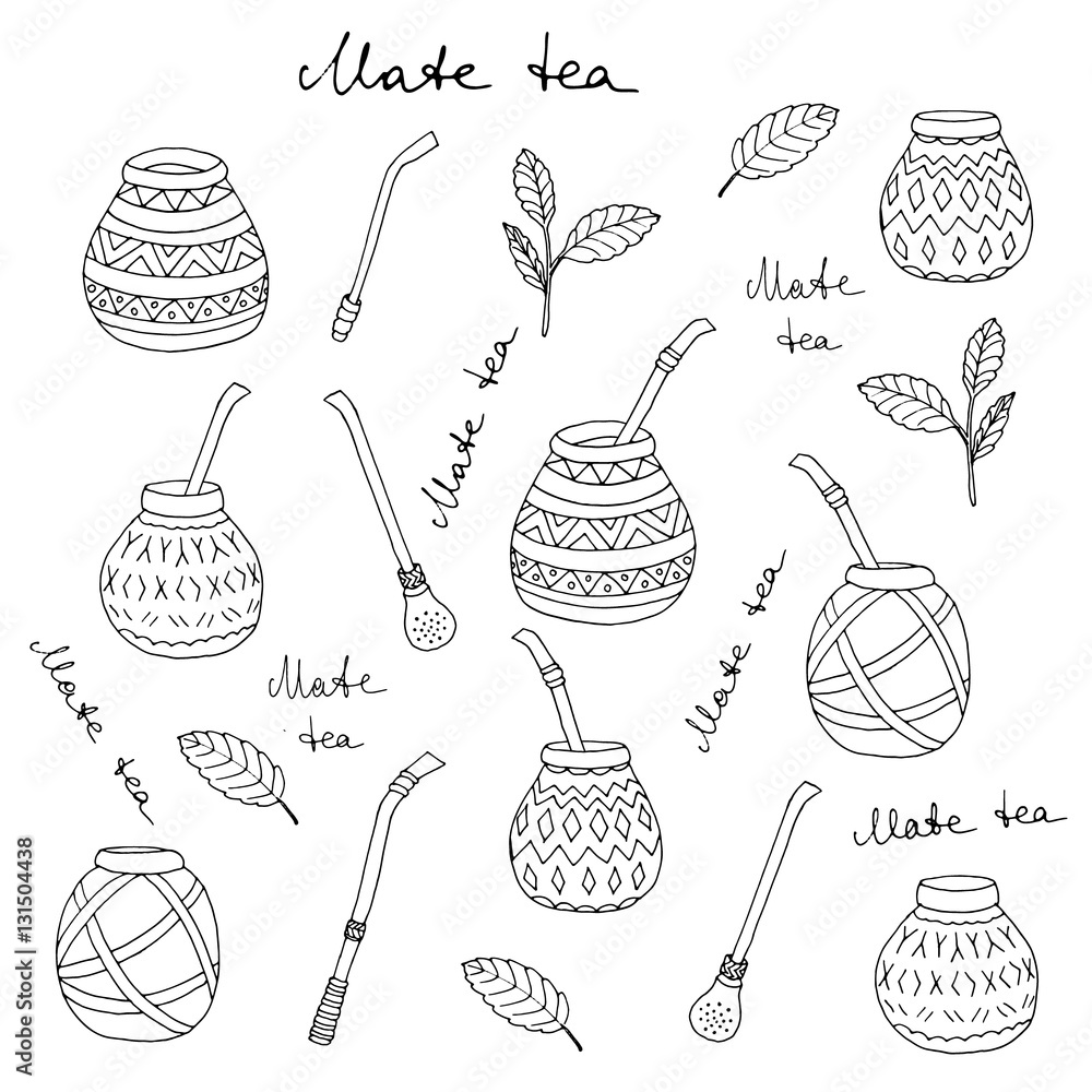Yerba mate tea branch and calabash hand drawn. Mate tea leaf. Calabash ...