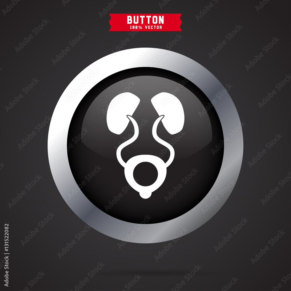 kidneys icon design Stock Vector | Adobe Stock