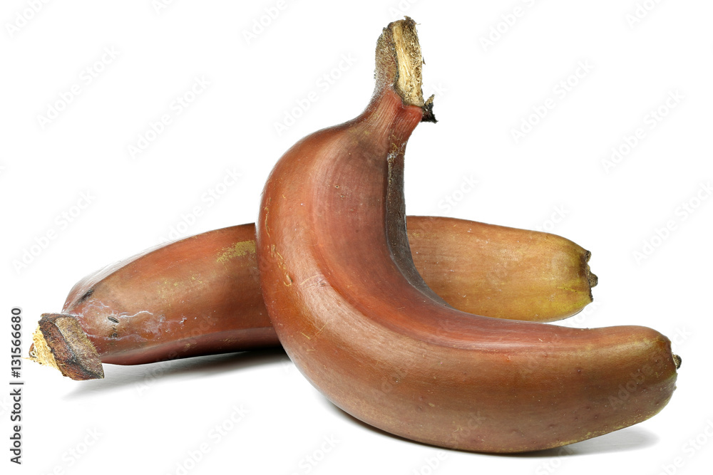 rote Bananen isoliert auf weißem Hintergrund Stock-Foto | Adobe Stock