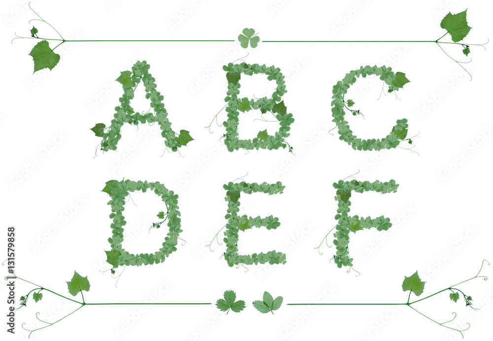 Alphabet letters from the leaves in Patrick day or spring and summer ...