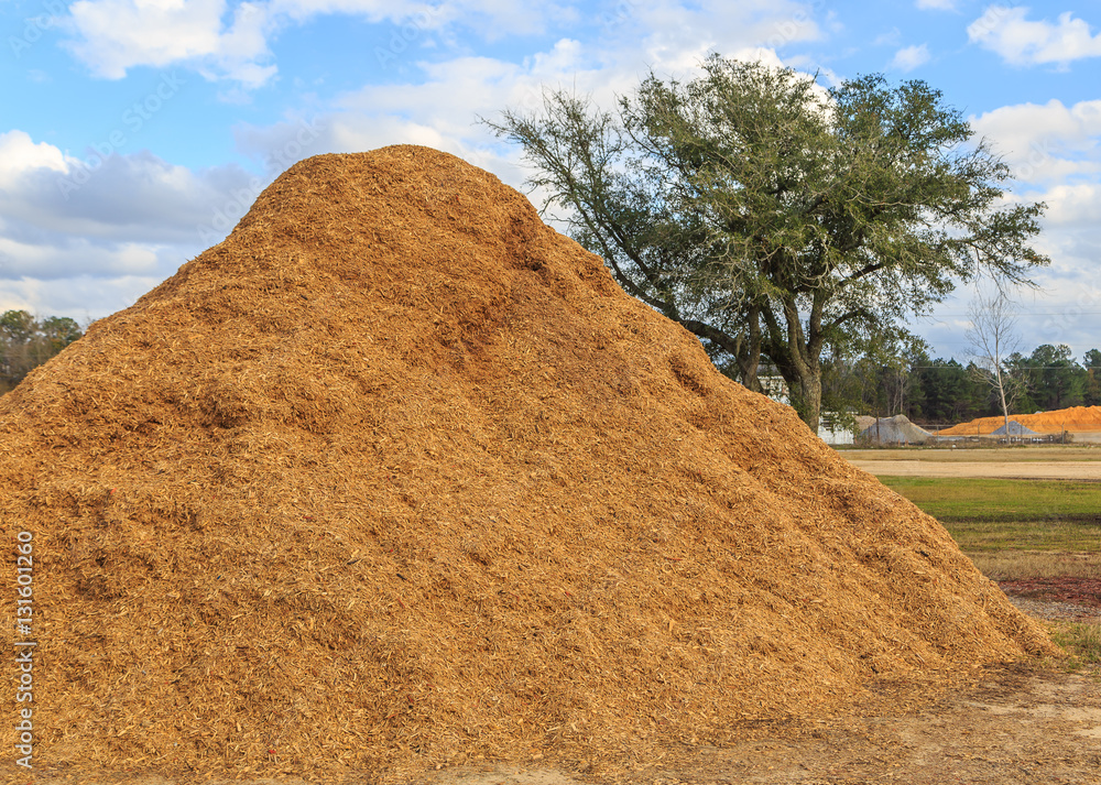 Light Brown Mulch or Wood Chip Mound Mound of black mulch or wood chips ...