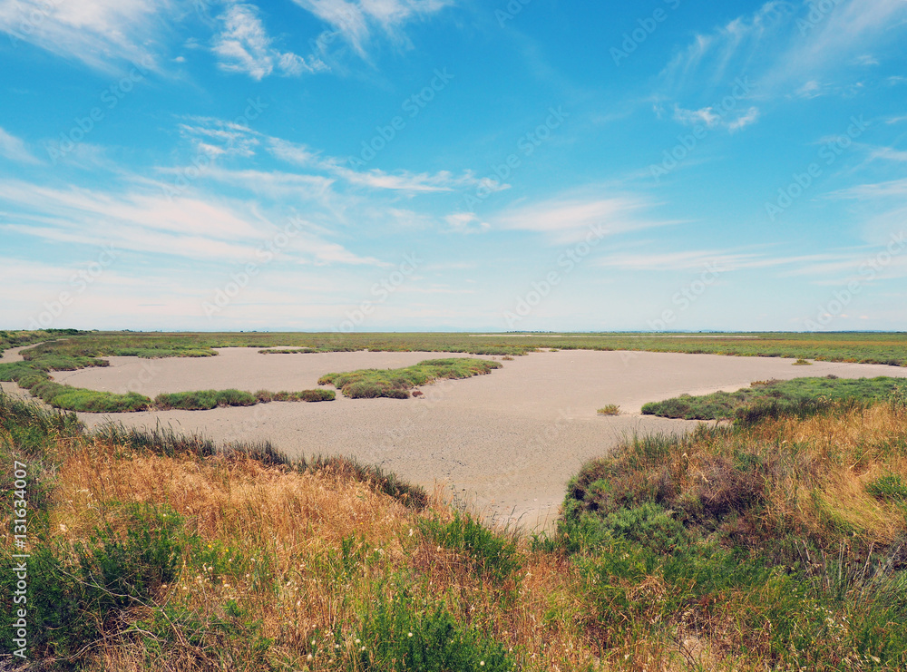 Camargue landscape in France Stock Photo | Adobe Stock
