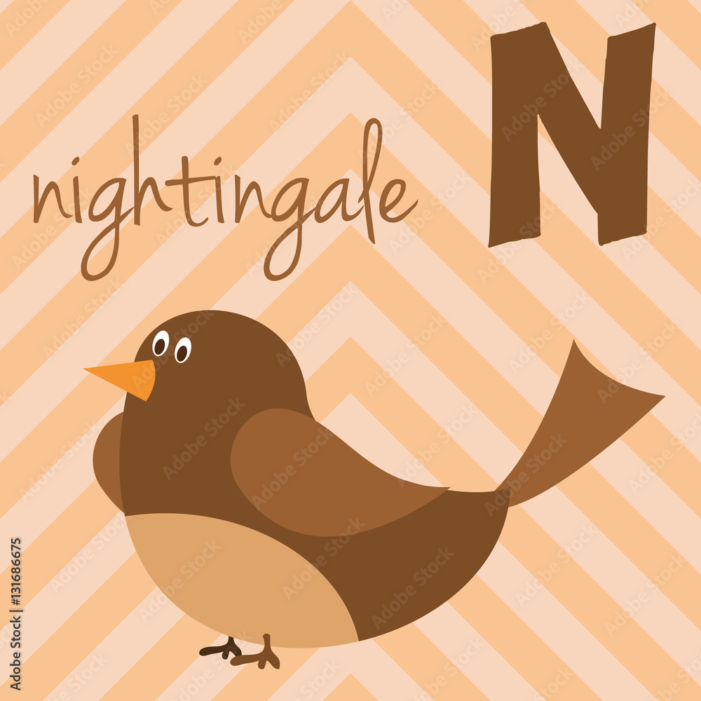 Cute cartoon zoo illustrated alphabet with funny animals: N for ...