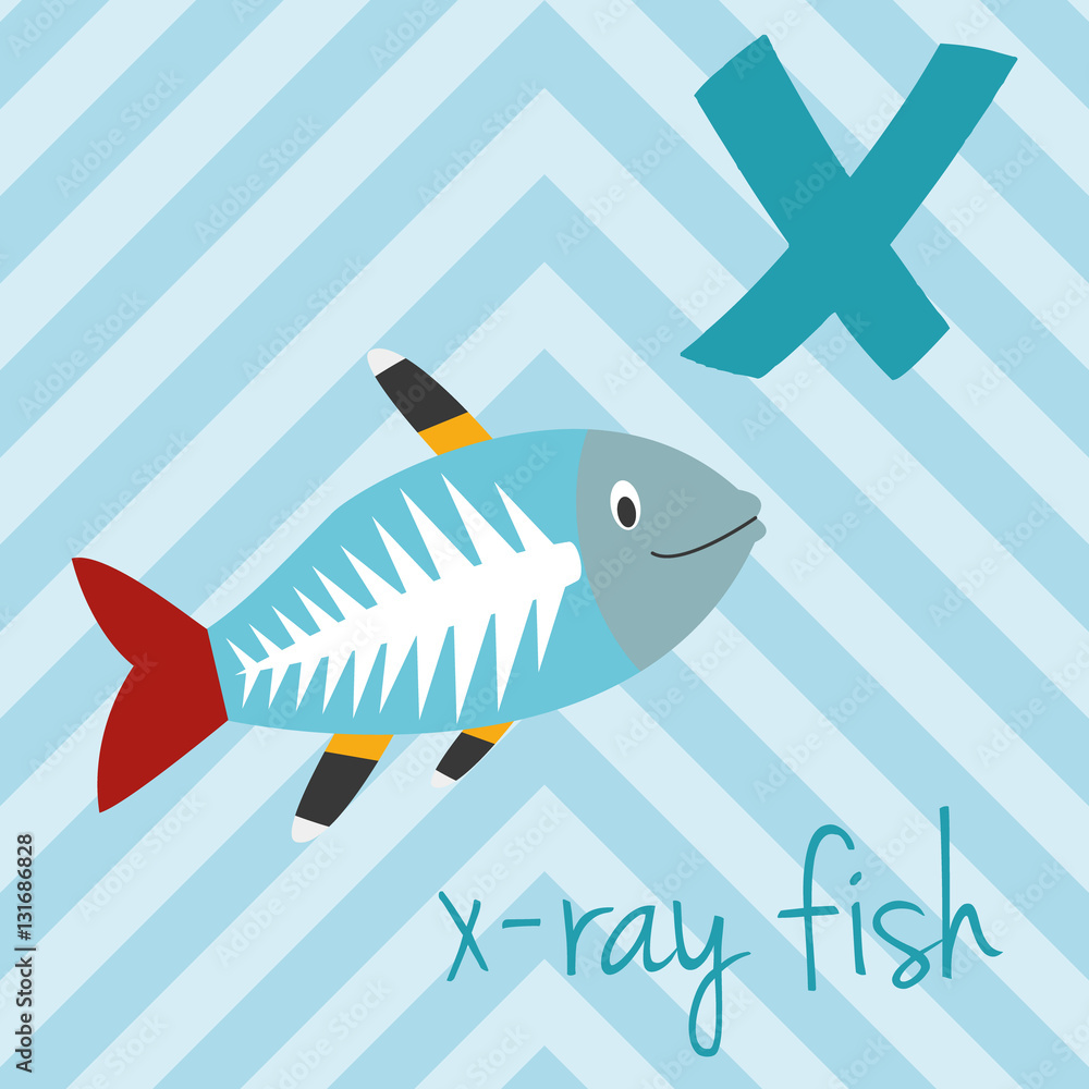 Cute cartoon zoo illustrated alphabet with funny animals: X for X-Ray ...