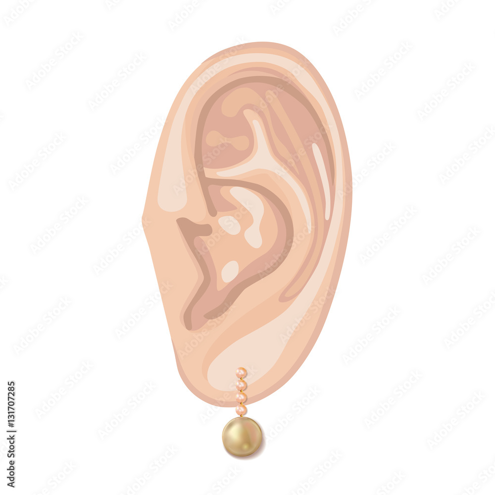 Human ear & hanging pearl earring Stock Vector | Adobe Stock