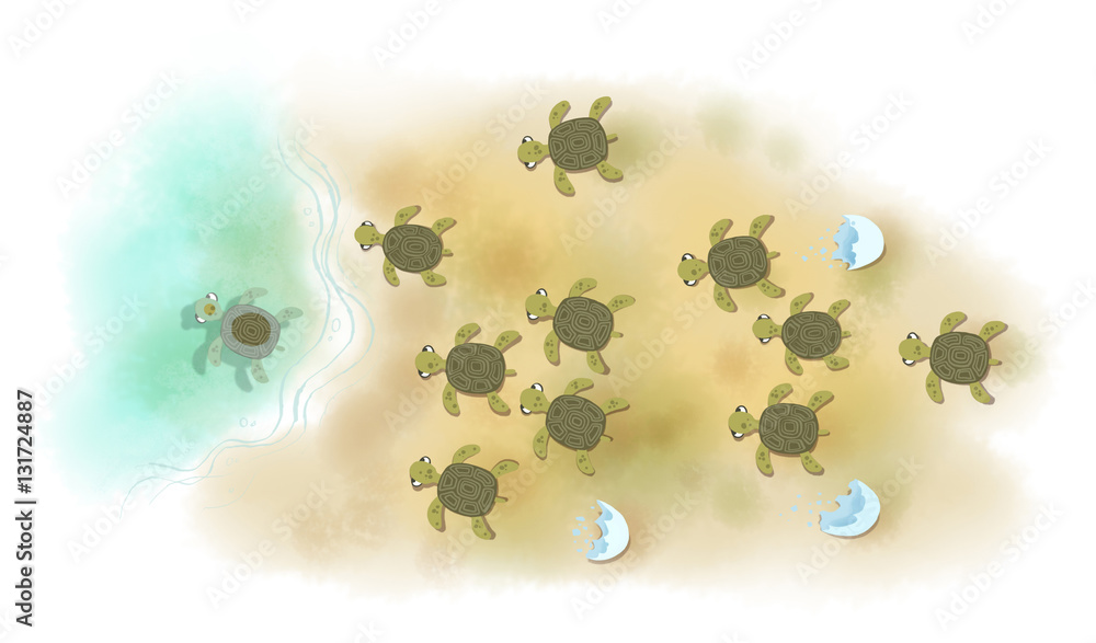 Sea turtles egg hatching and babies moving in to the sea Stock ...